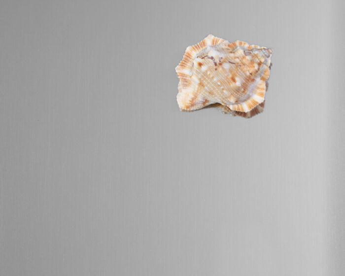 Mirror Finishes - Polished Metals - Mirror Finish Polishing