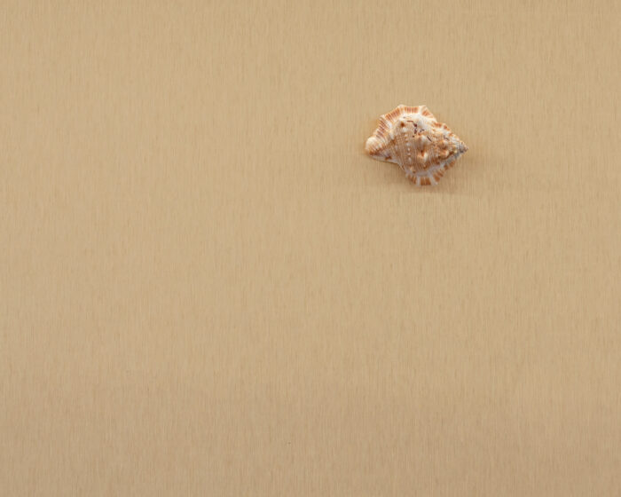 Satin Finish Options - Polished Metals - Aluminum, Stainless Steel